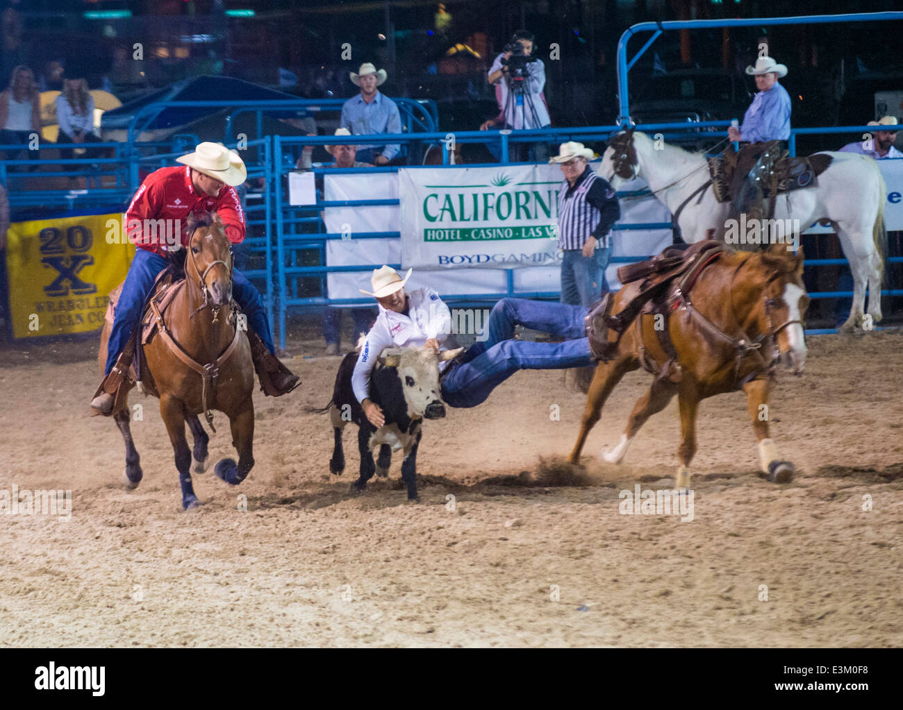 Cowboys Participating in a Calf roping Competition at the Helldorado ...
