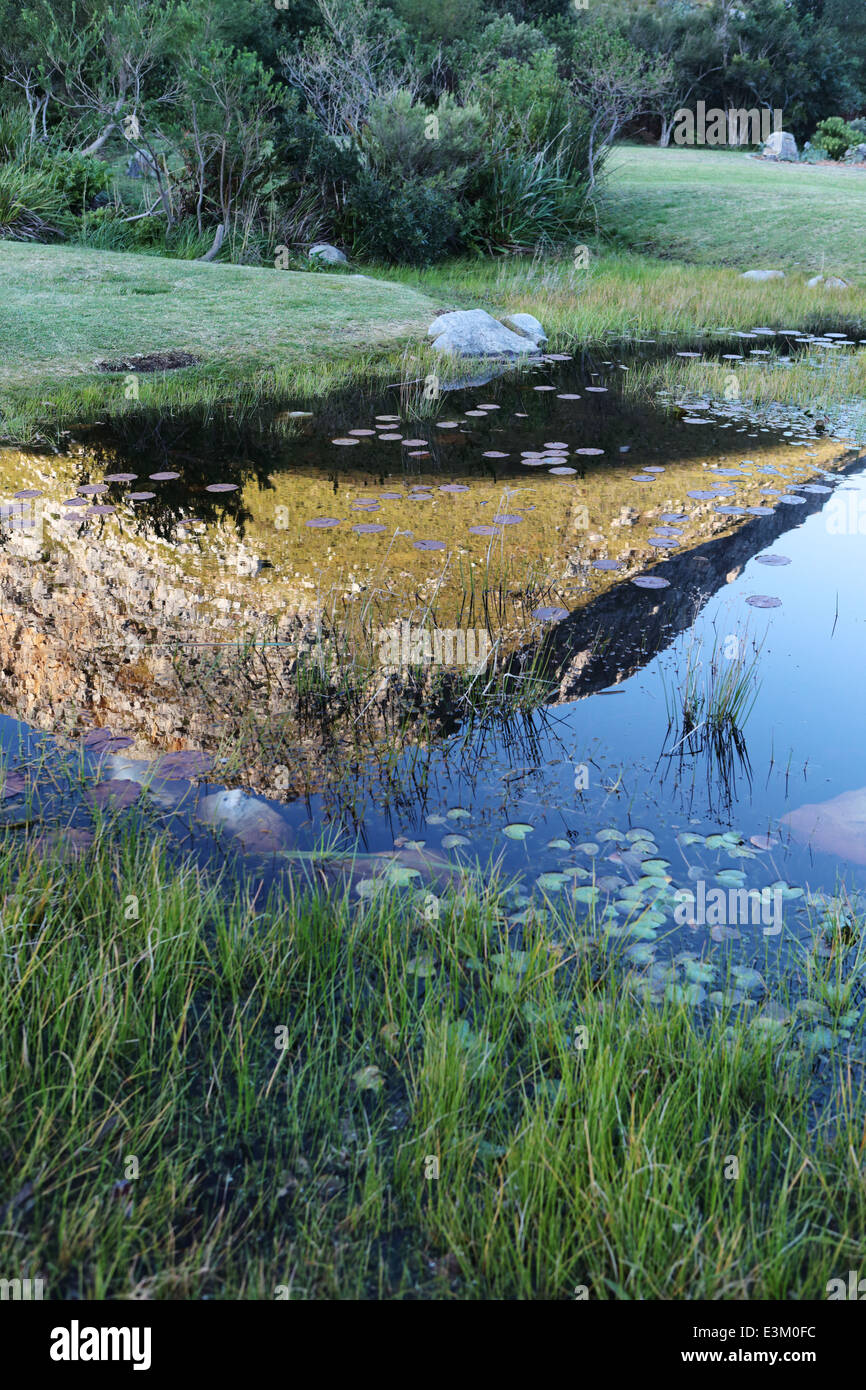 Mountain reflection in pond hi-res stock photography and images - Alamy