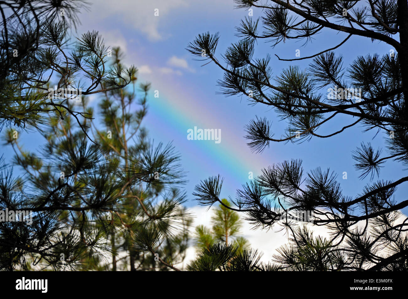 A rainbow appears near Blue Ridge Reservoir, located in the Coconino ...