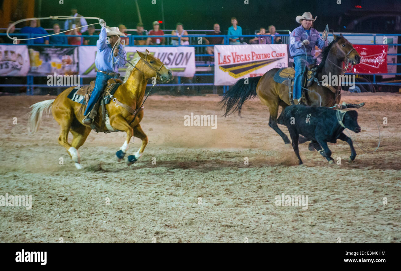 Cowboys Participating in a Calf roping Competition at the Helldorado ...