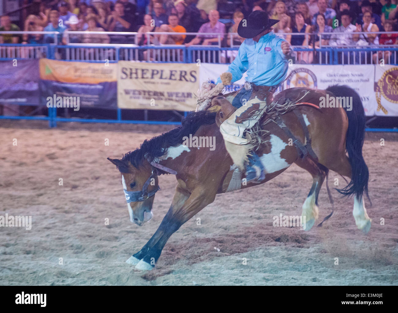 Cowboy Participating in a Bucking Horse Competition at the Helldorado ...