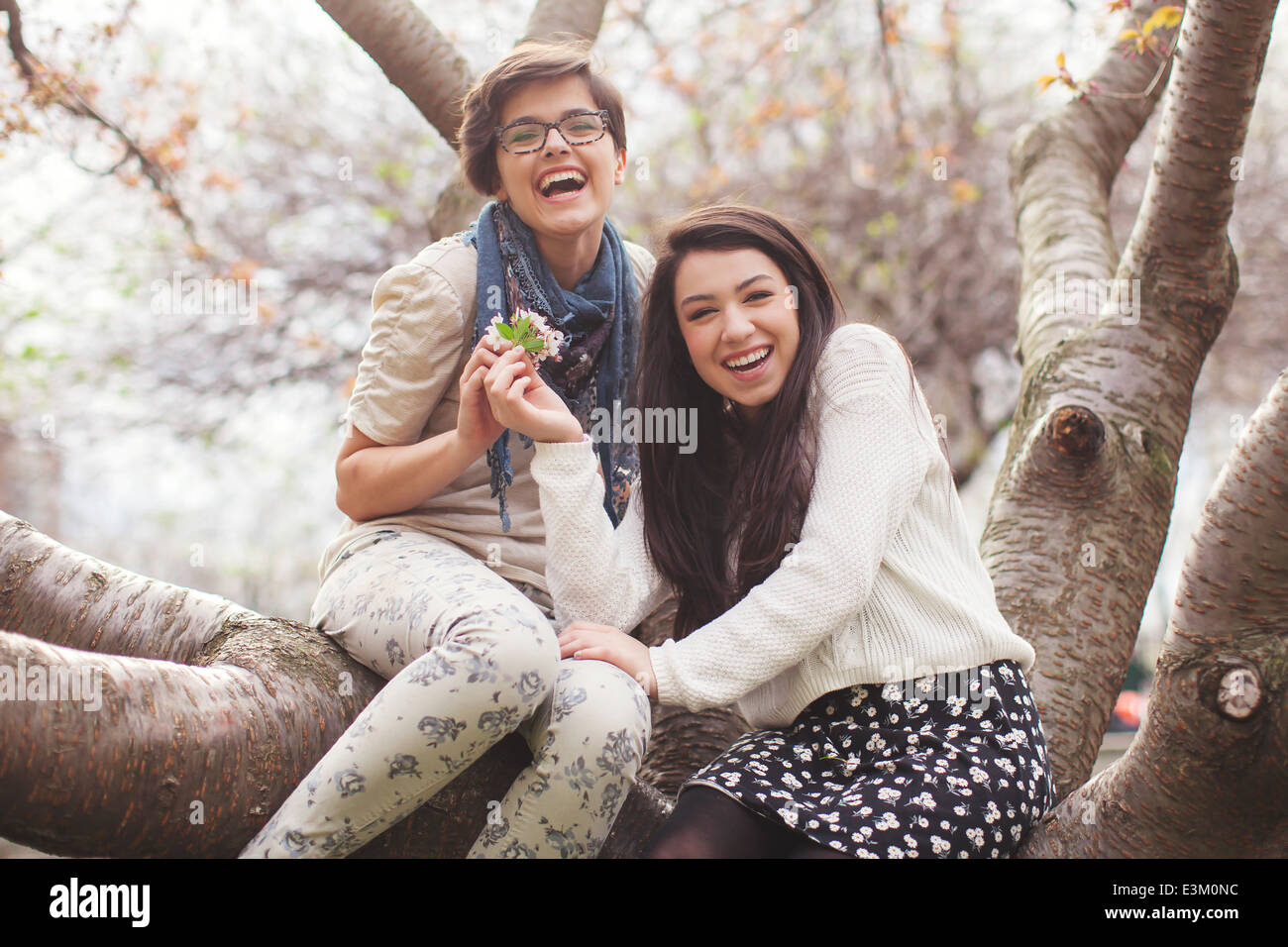 Portrait of two friends sitting on tree trunk, Massachusetts, USA Stock ...