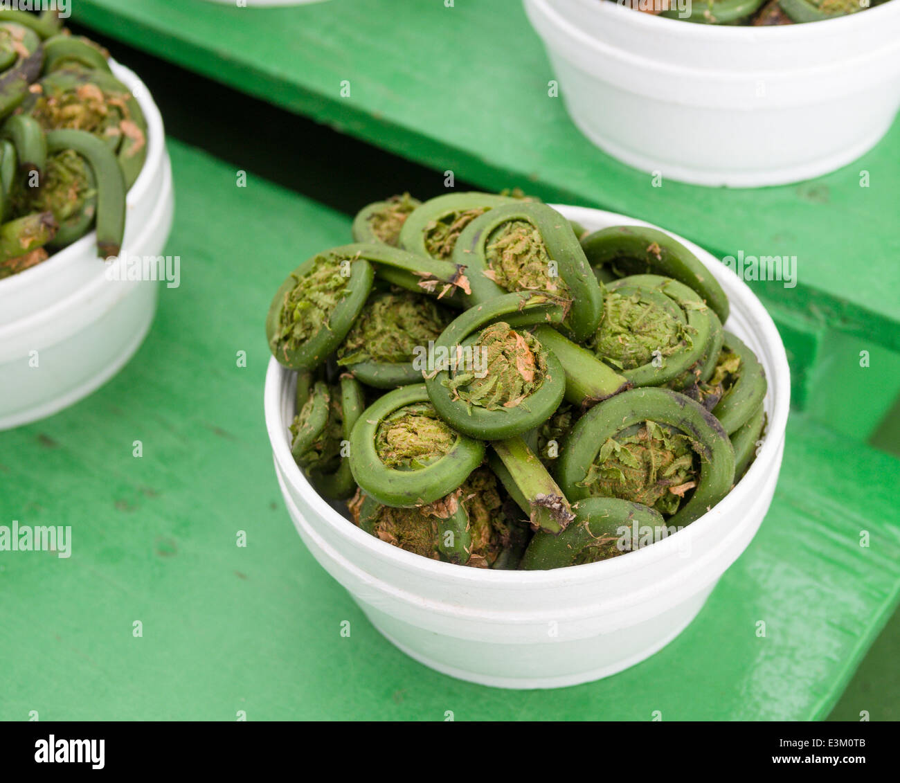 Fiddleheads dish hi-res stock photography and images - Alamy