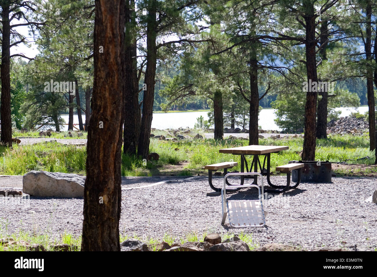 Dogtown Lake Campground in the Williams Ranger District of the Kaibab National Forest offers a ...
