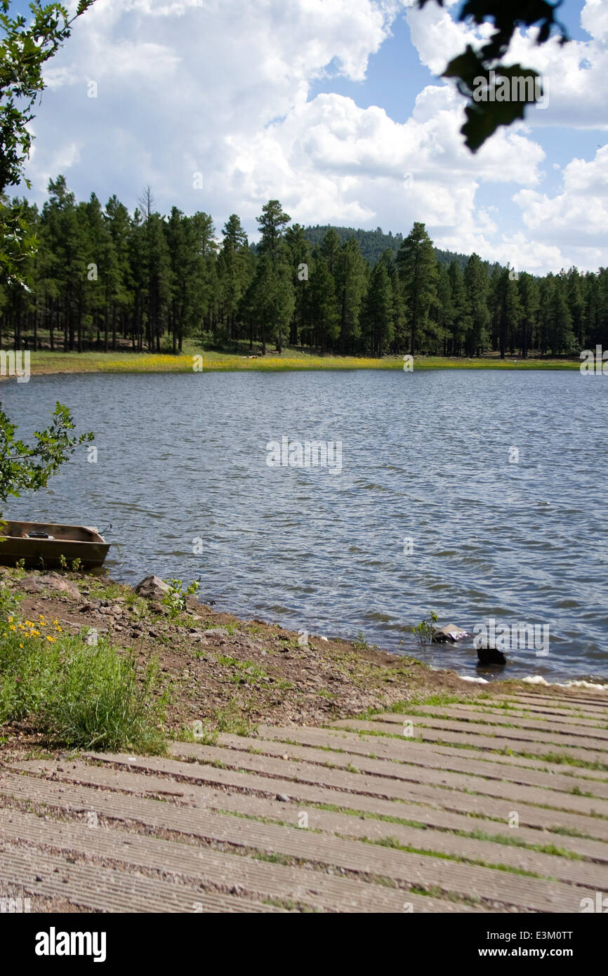 Dogtown Lake Campground, located in the Kaibab National Forest within the Williams Ranger ...