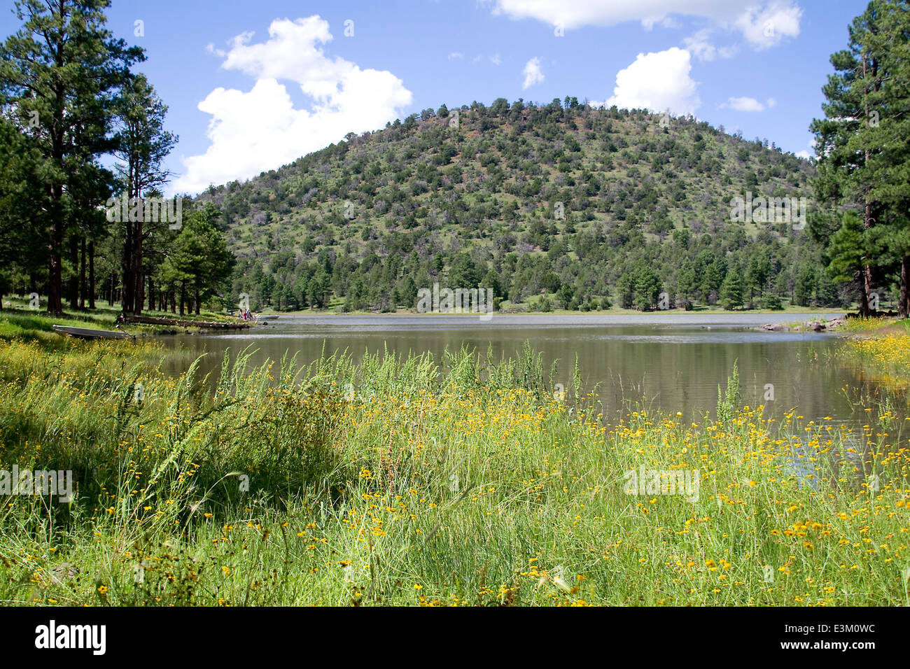 Kaibab Lake Campground, located in the Williams Ranger District of Kaibab National Forest ...