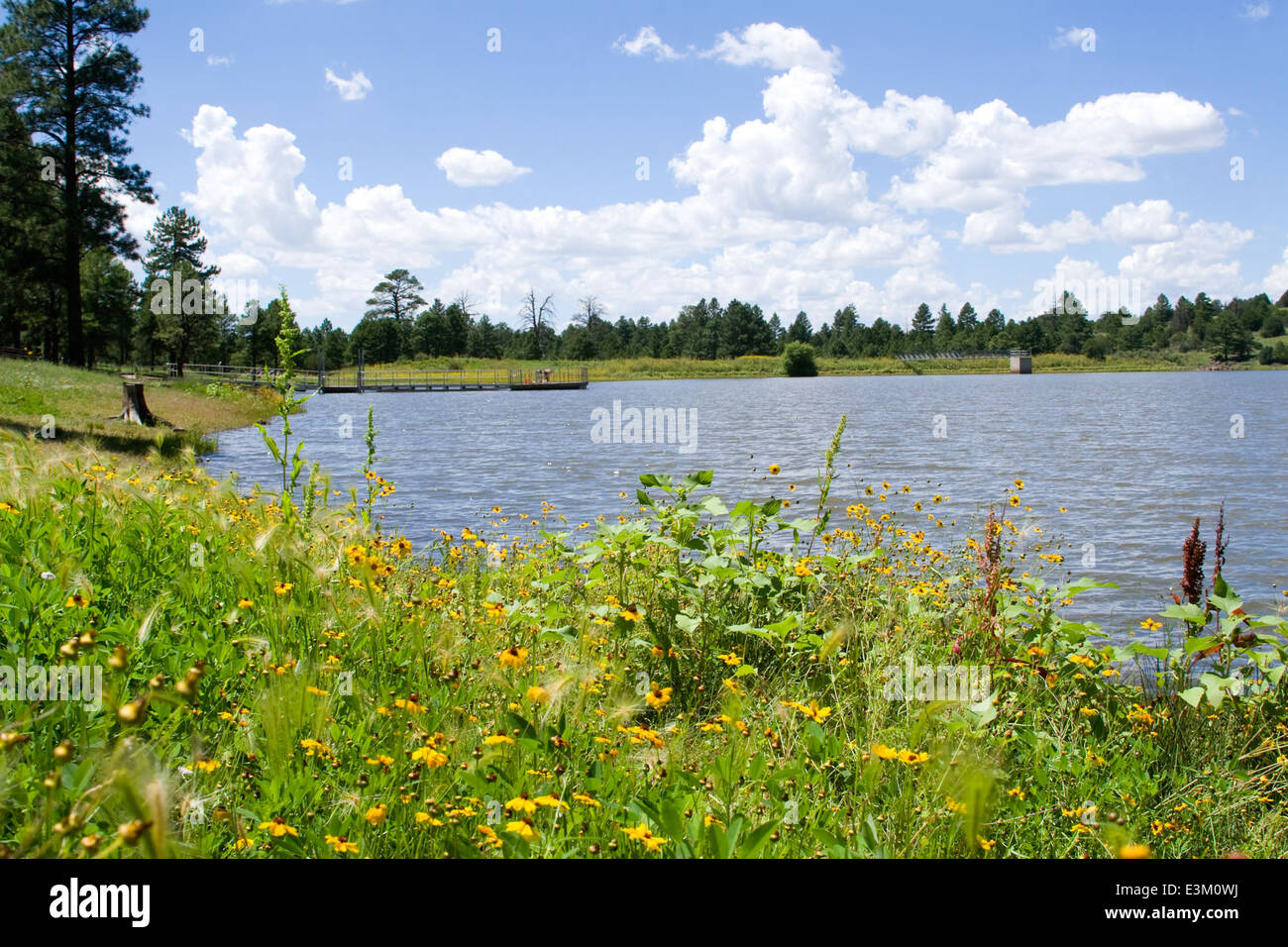 Kaibab Lake Campground in Arizona, located within the Kaibab National Forest, offers a scenic ...