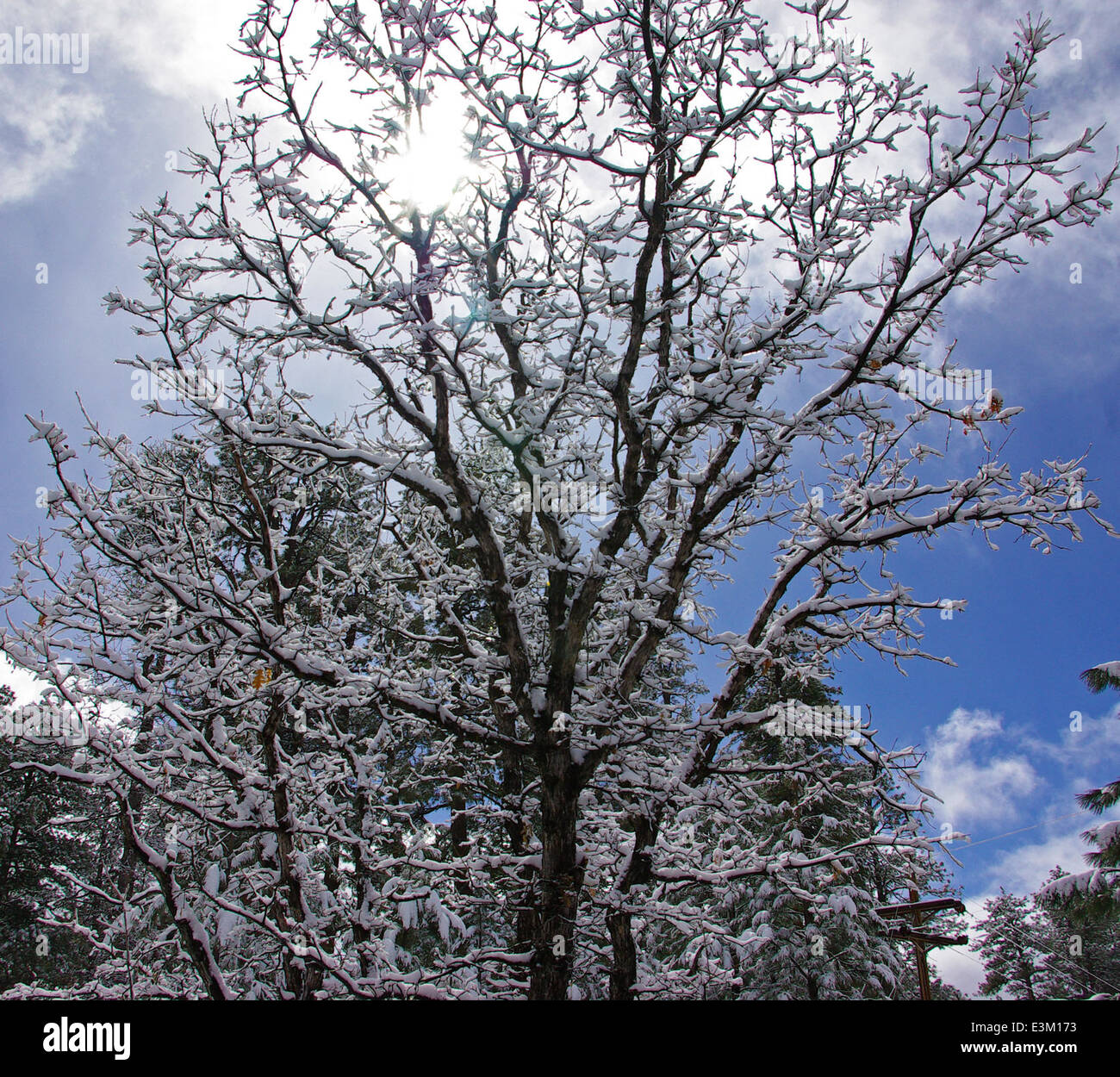 Mogollon rim snow hi-res stock photography and images - Alamy