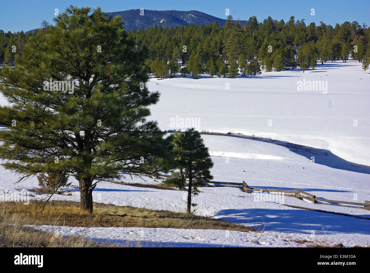 Lower lake mary hi-res stock photography and images - Alamy