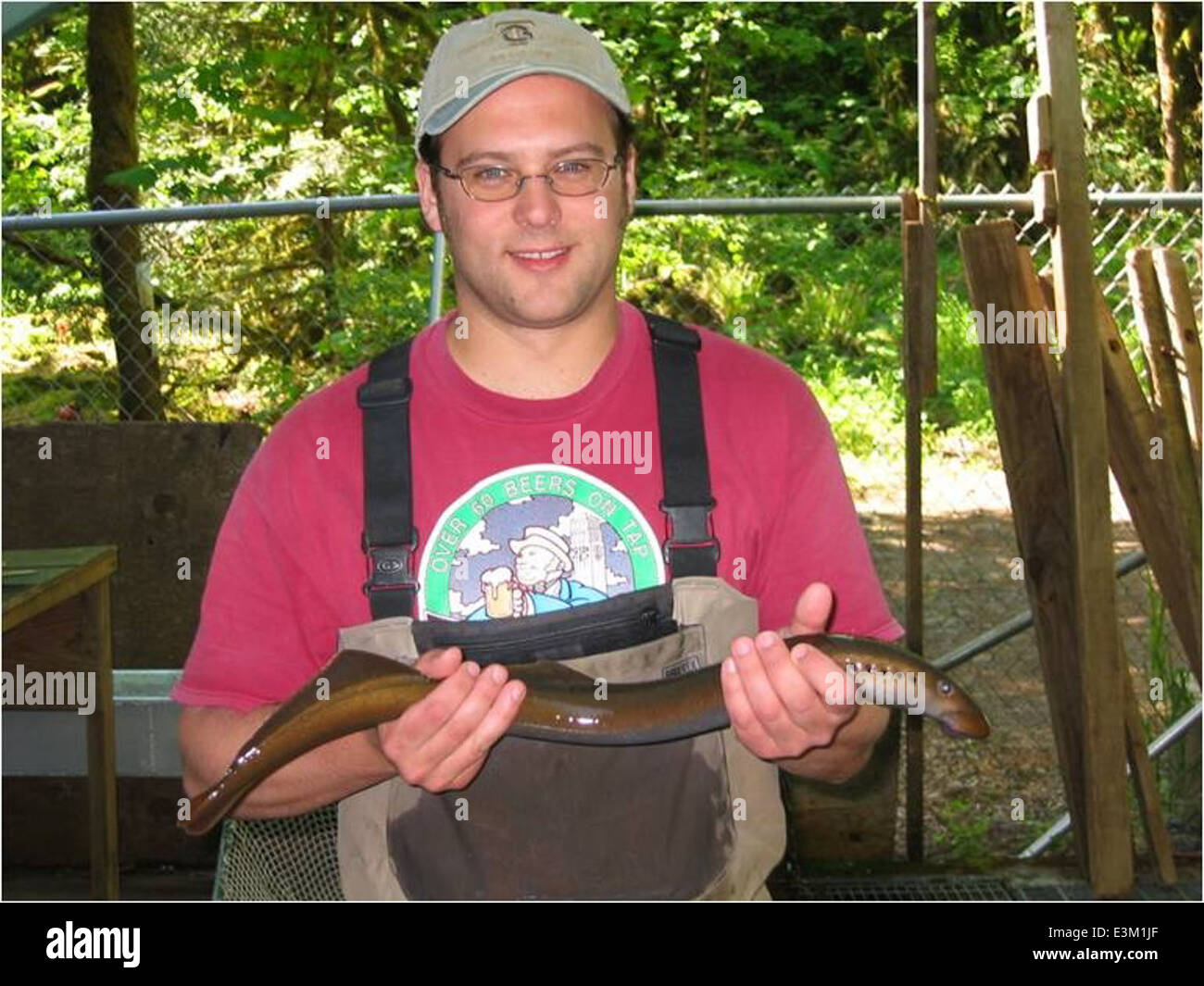 Lamprey species hi-res stock photography and images - Alamy