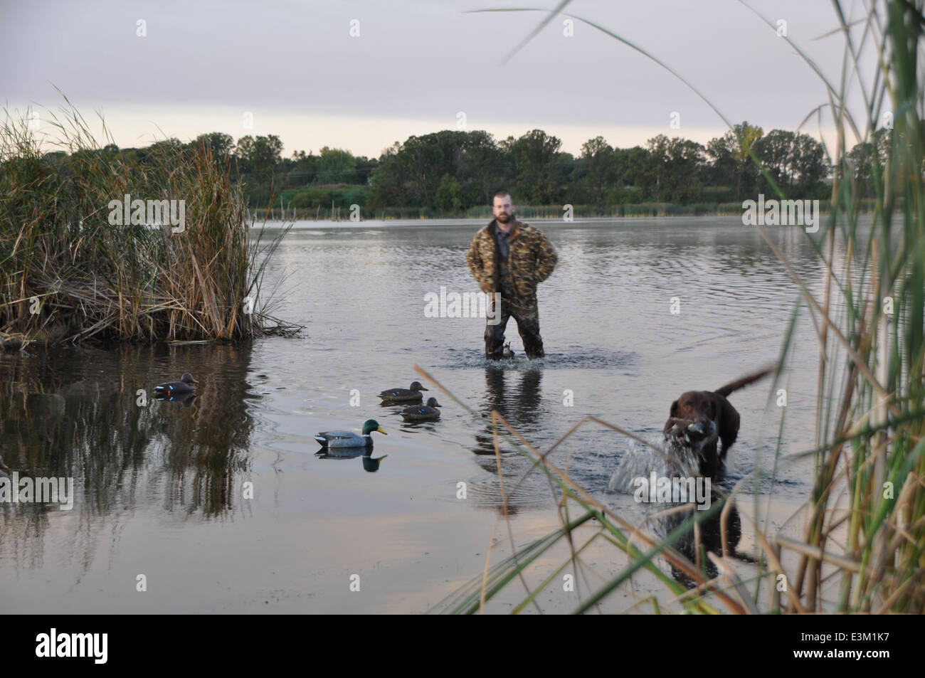 A snapshot capturing a first moment or initial observation, likely in a ...