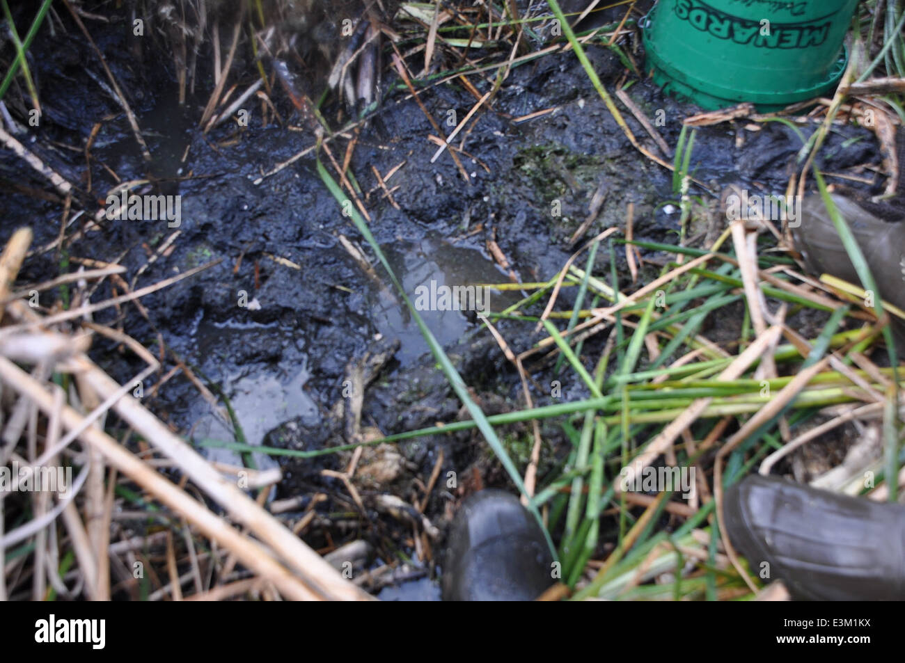 Ducksunlimited hi-res stock photography and images - Alamy
