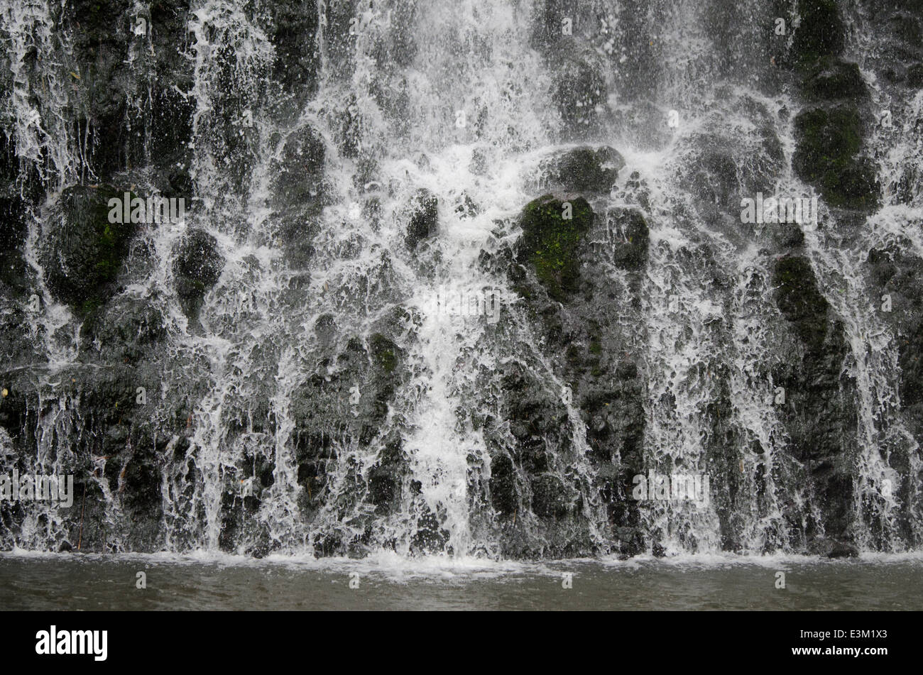 New Zealand, North Island, Auckland. Waitakere Ranges Regional Park ...