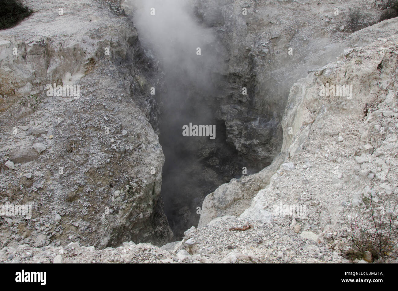 New Zealand, North Island, Rotorua, Taupo Volcanic Zone. Wai-o-tapu ...