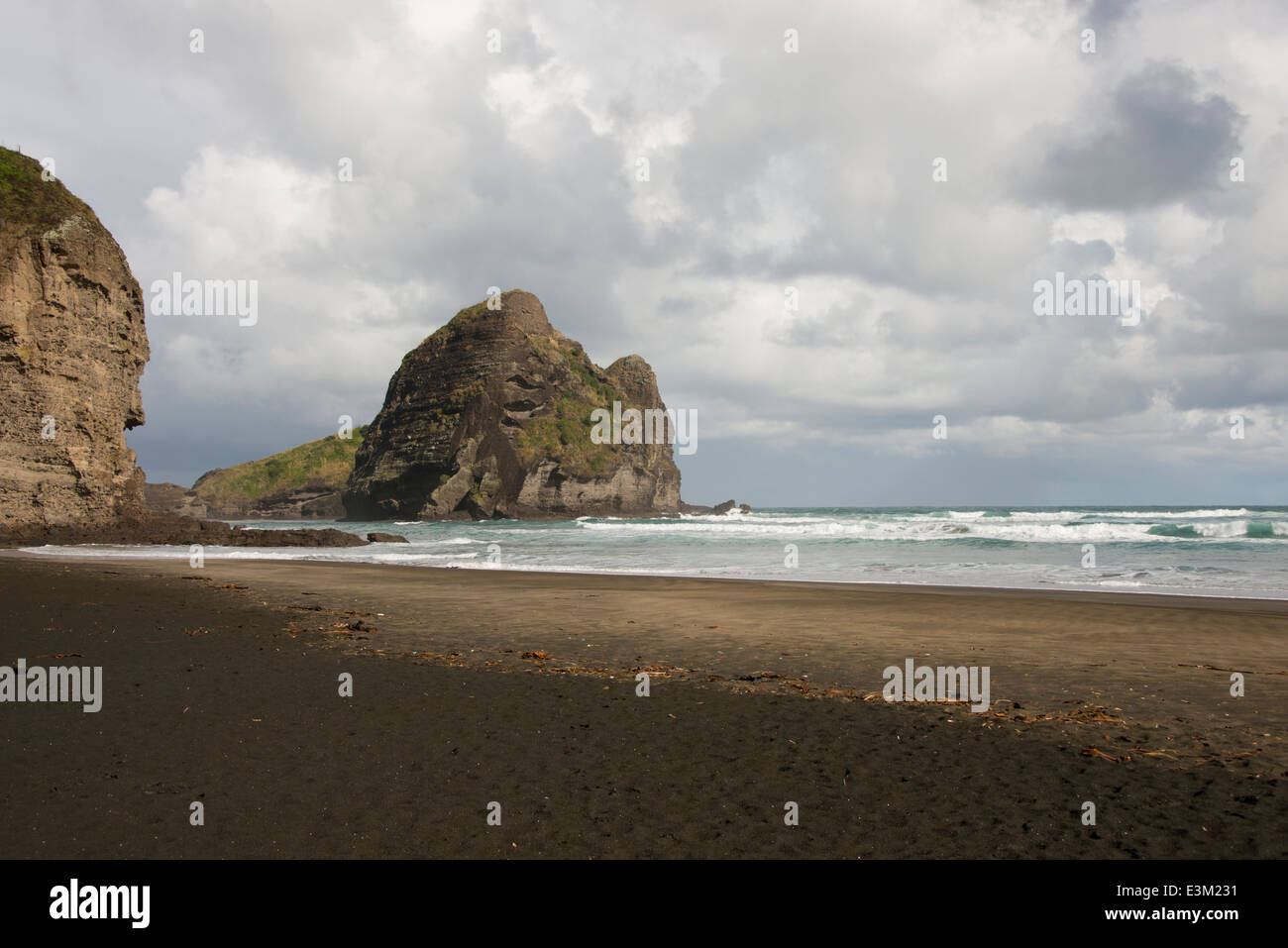 New Zealand, North Island, Auckland. Waitakere Ranges Regional Park ...