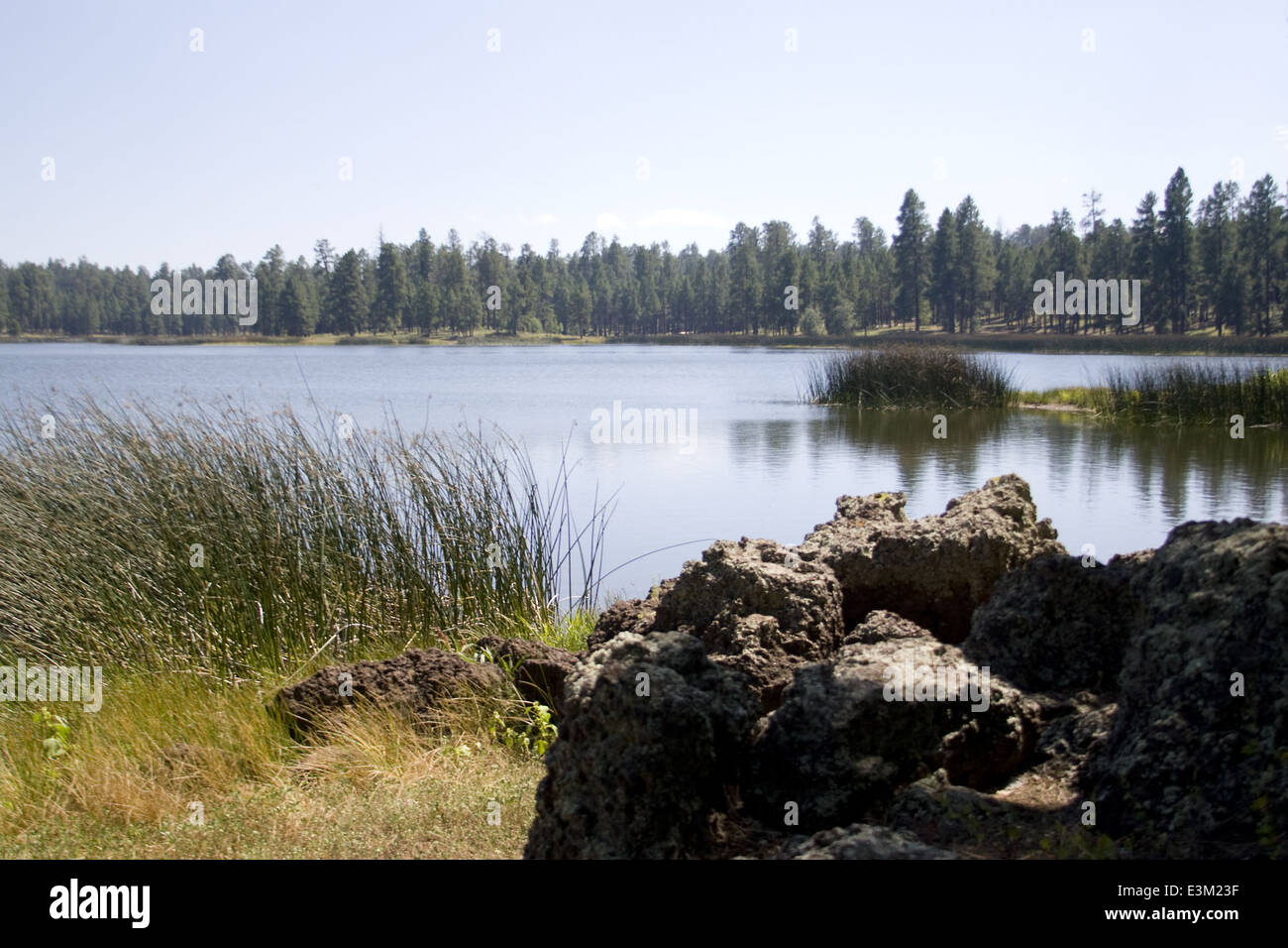 White Horse Lake Campground in the Williams Ranger District of Kaibab National Forest is a ...