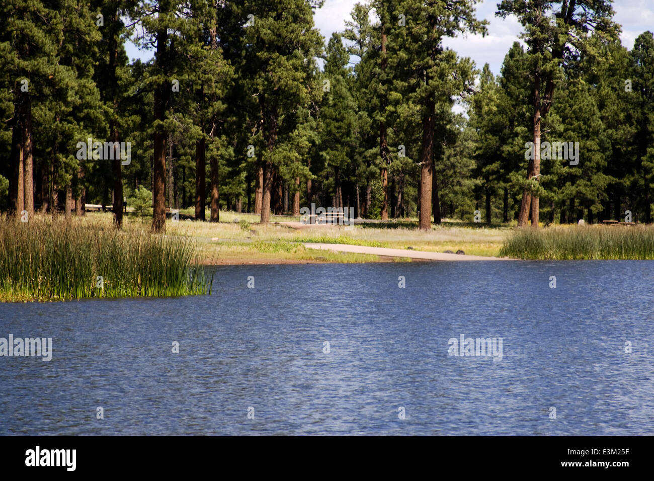 The White Horse Lake Campground in the Williams Ranger District offers camping and outdoor ...