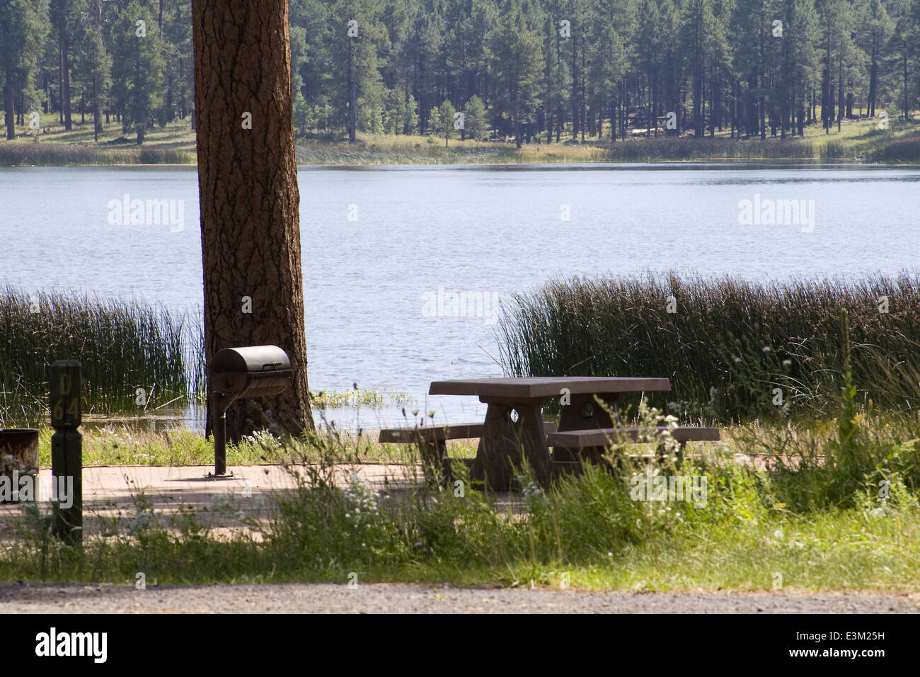 White Horse Lake Campground is located in the Williams Ranger District of the Kaibab National ...