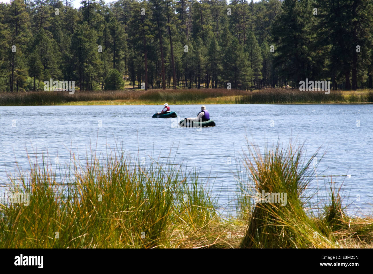 White Horse Lake Campground, located in the Williams Ranger District of the Kaibab National ...
