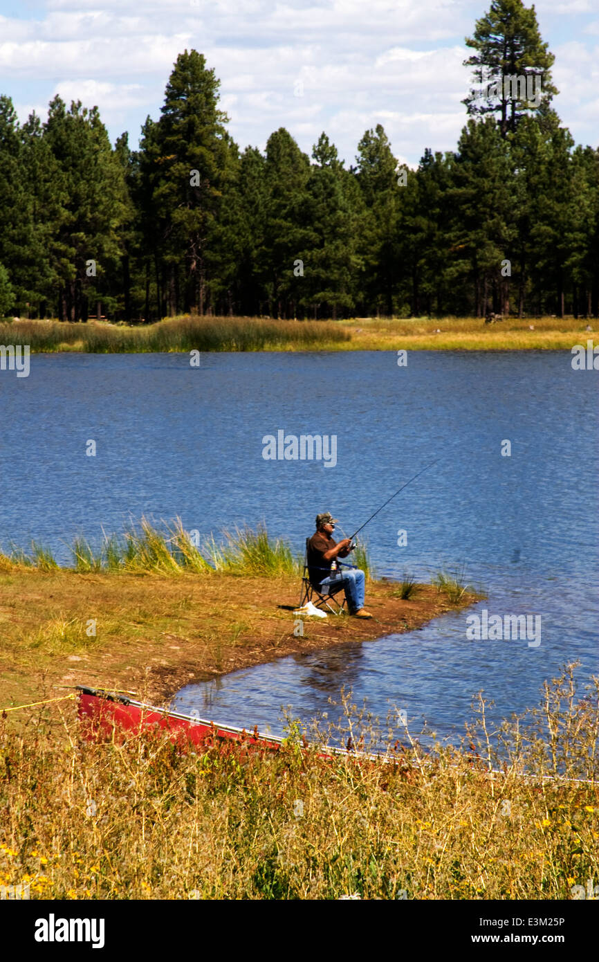 White Horse Lake Campground, located in the Williams Ranger District of Kaibab National Forest ...