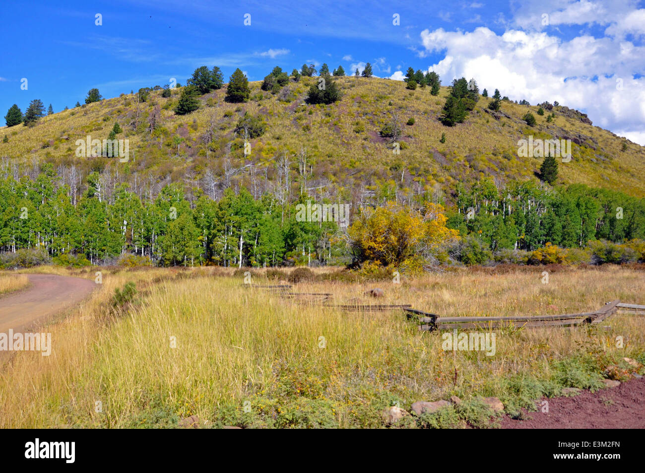 Hart prairie hi-res stock photography and images - Alamy