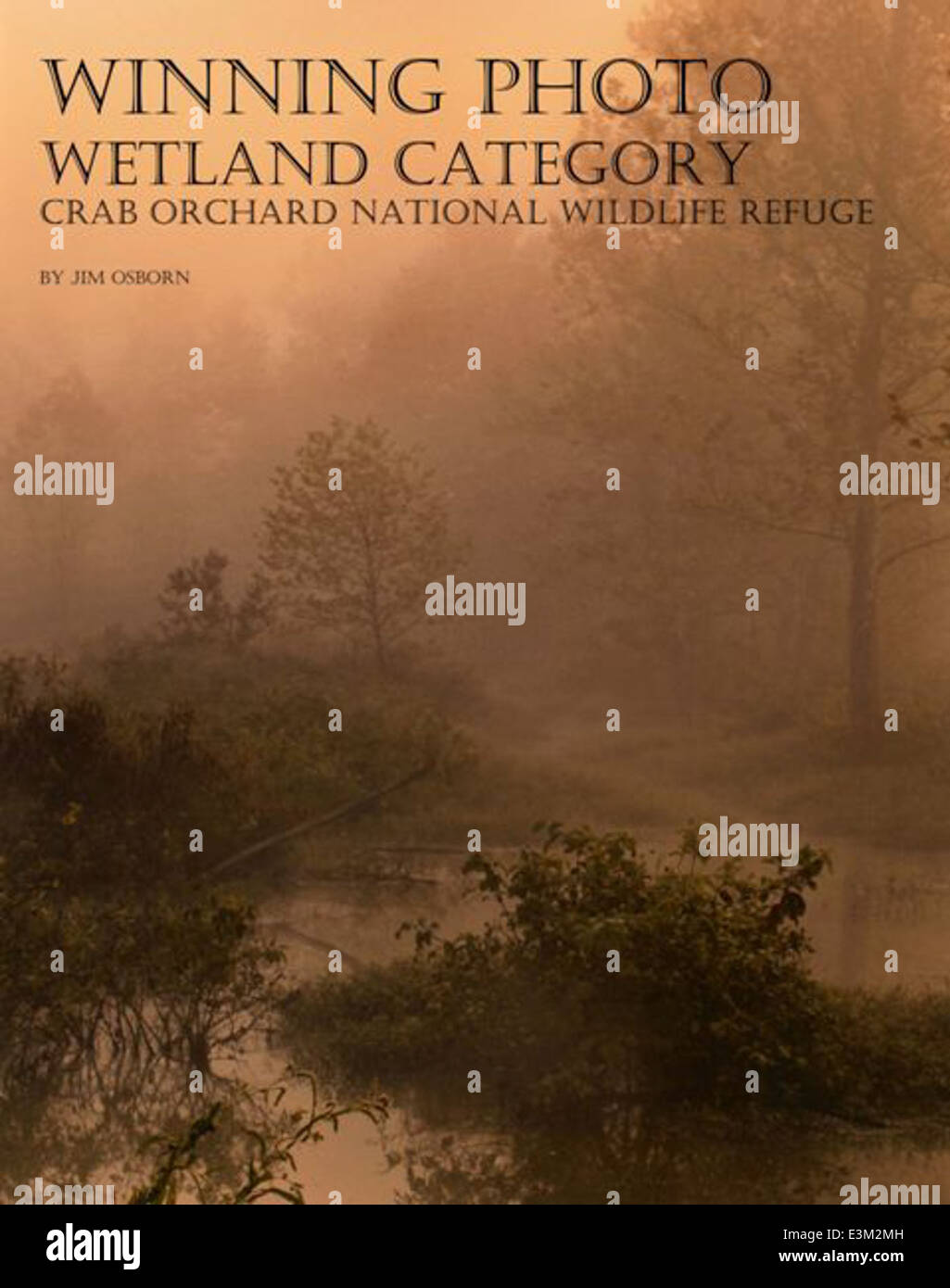The U.S. Fish and Wildlife Service oversees the management of National ...