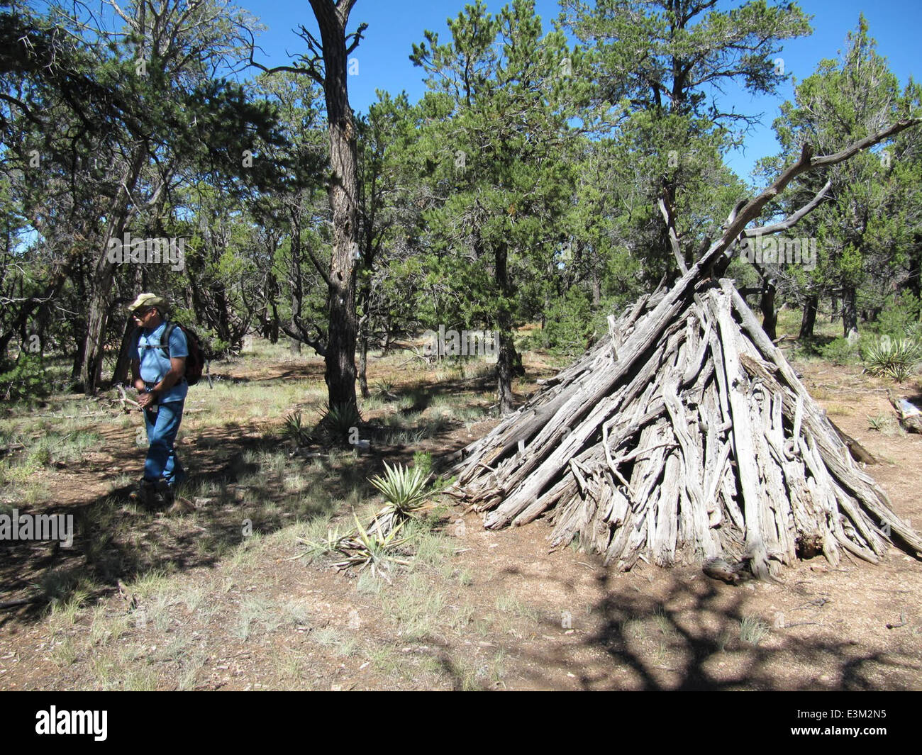 Tusayanrangerdistrict hi-res stock photography and images - Alamy