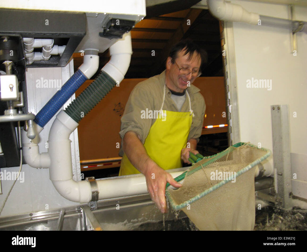 Joe Beckman loads lake trout into a trailer at the Great Lakes Hatchery ...