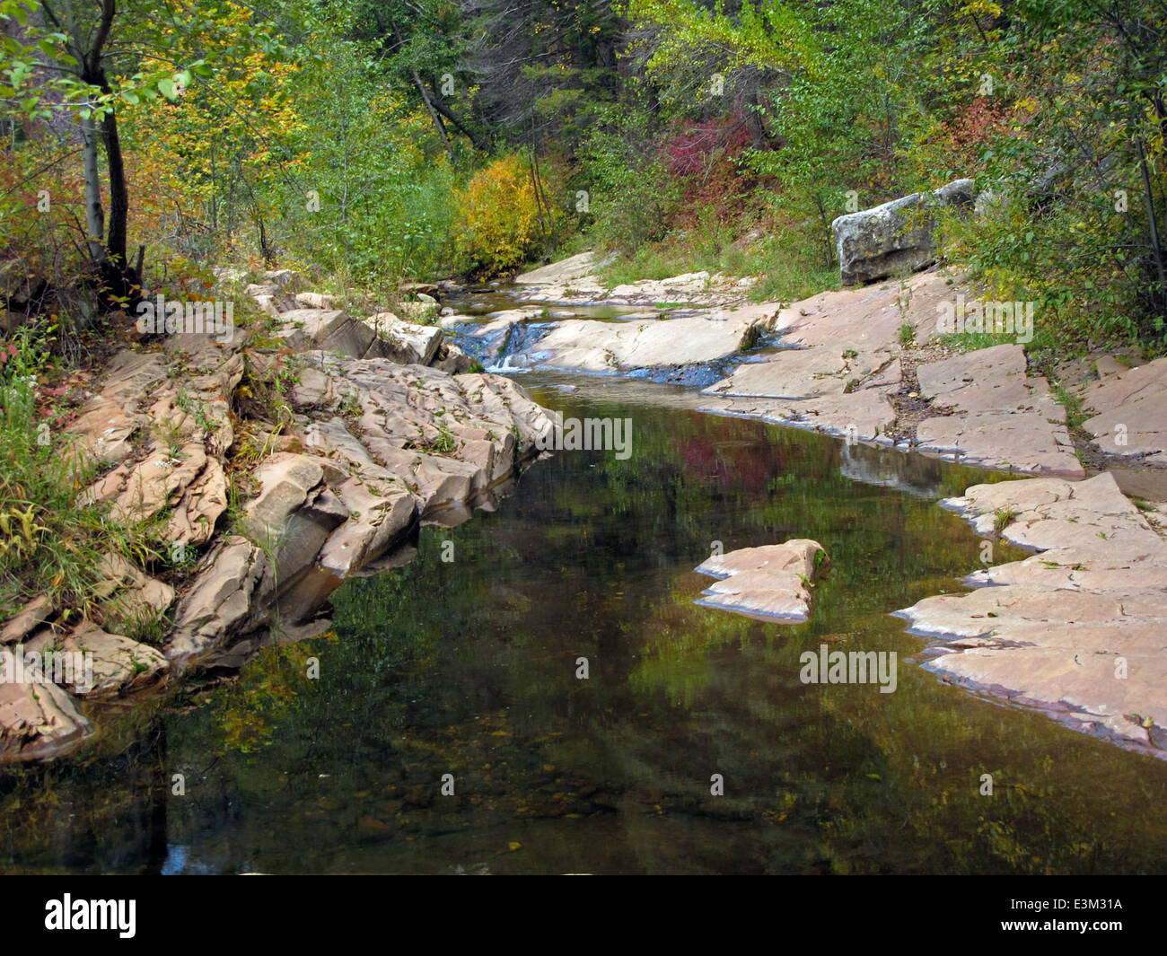 West Fork of Oak Creek Canyon Stock Photo - Alamy