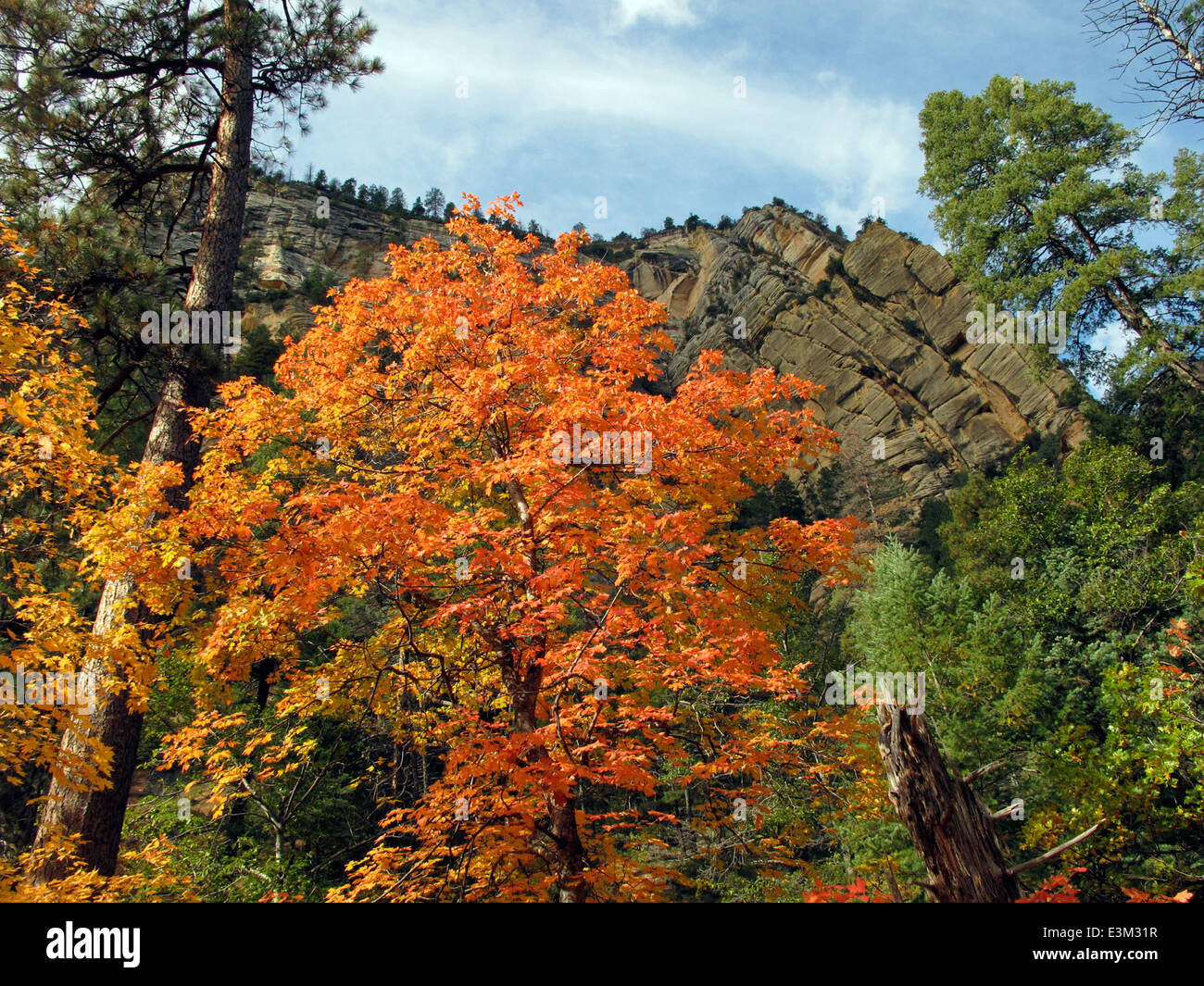 Fallhikes hi-res stock photography and images - Alamy