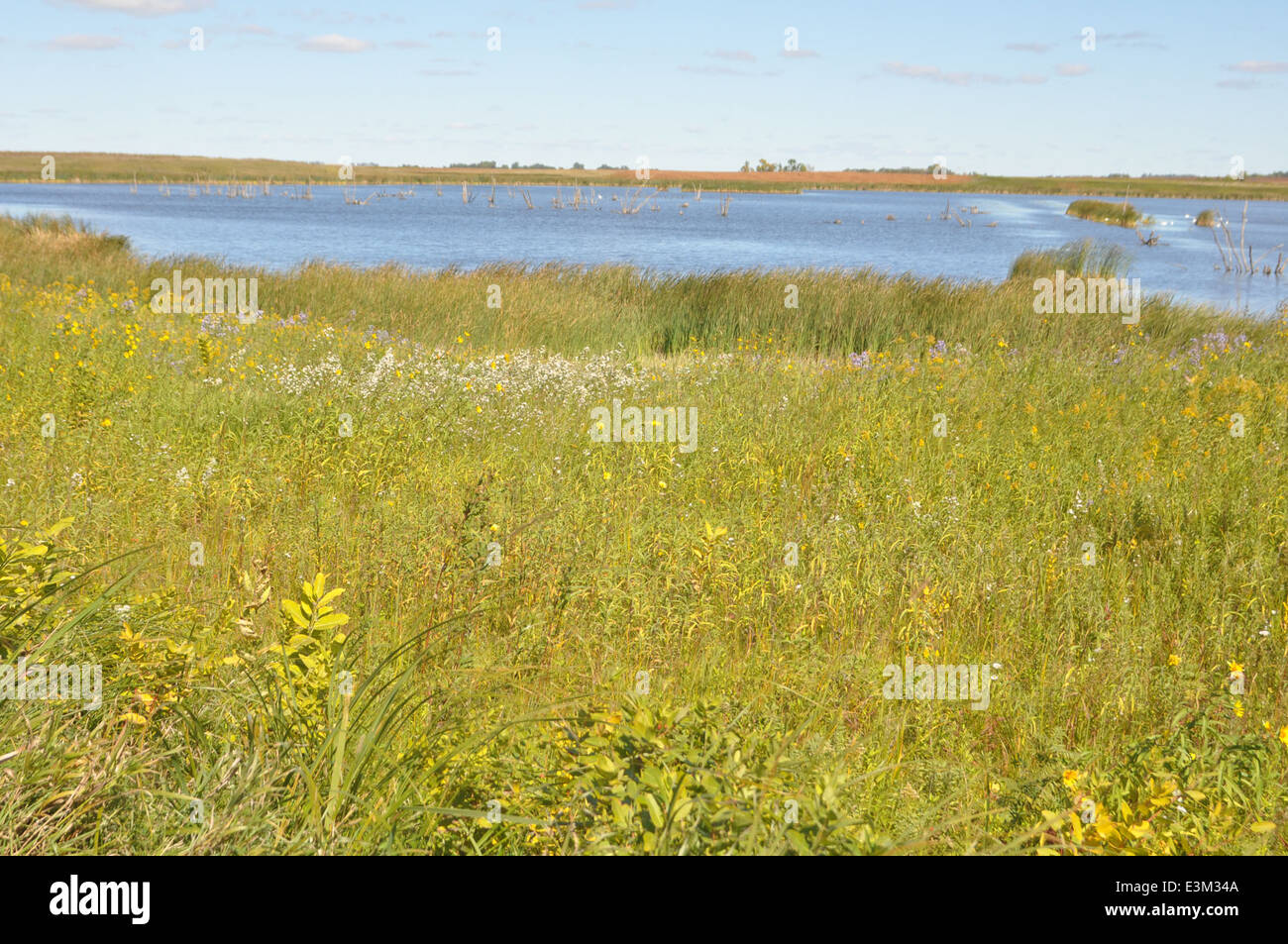 Hamden Slough National Wildlife Refuge in Minnesota is home to diverse ...