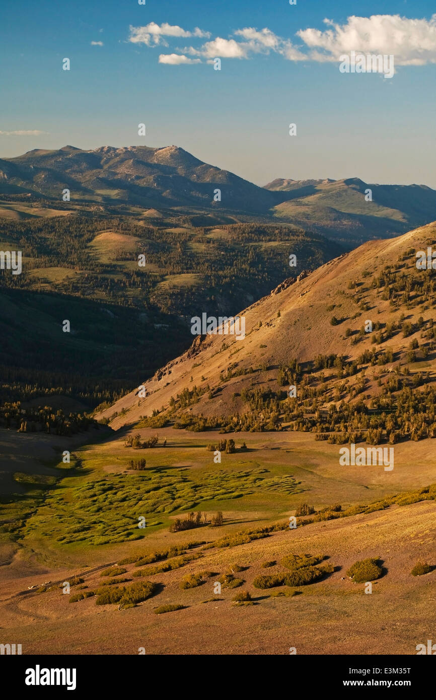 Slopes of the eastern Sierra mountains near Sonora Pass, Toiyabe ...