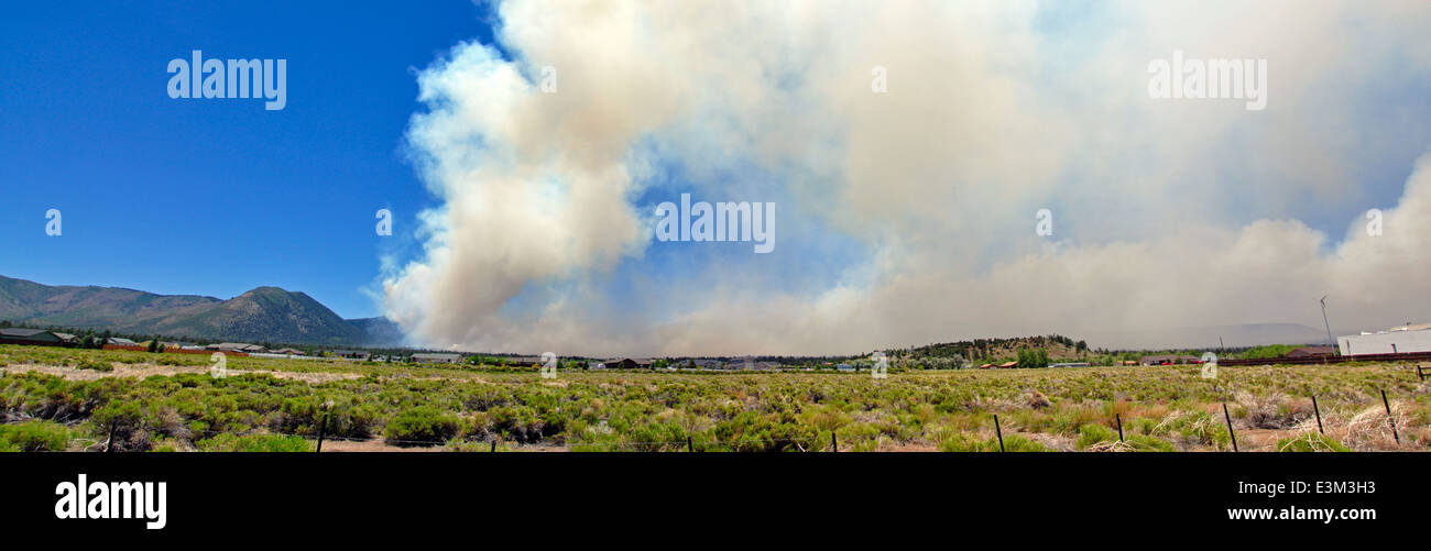 Schultzfire High Resolution Stock Photography and Images - Alamy