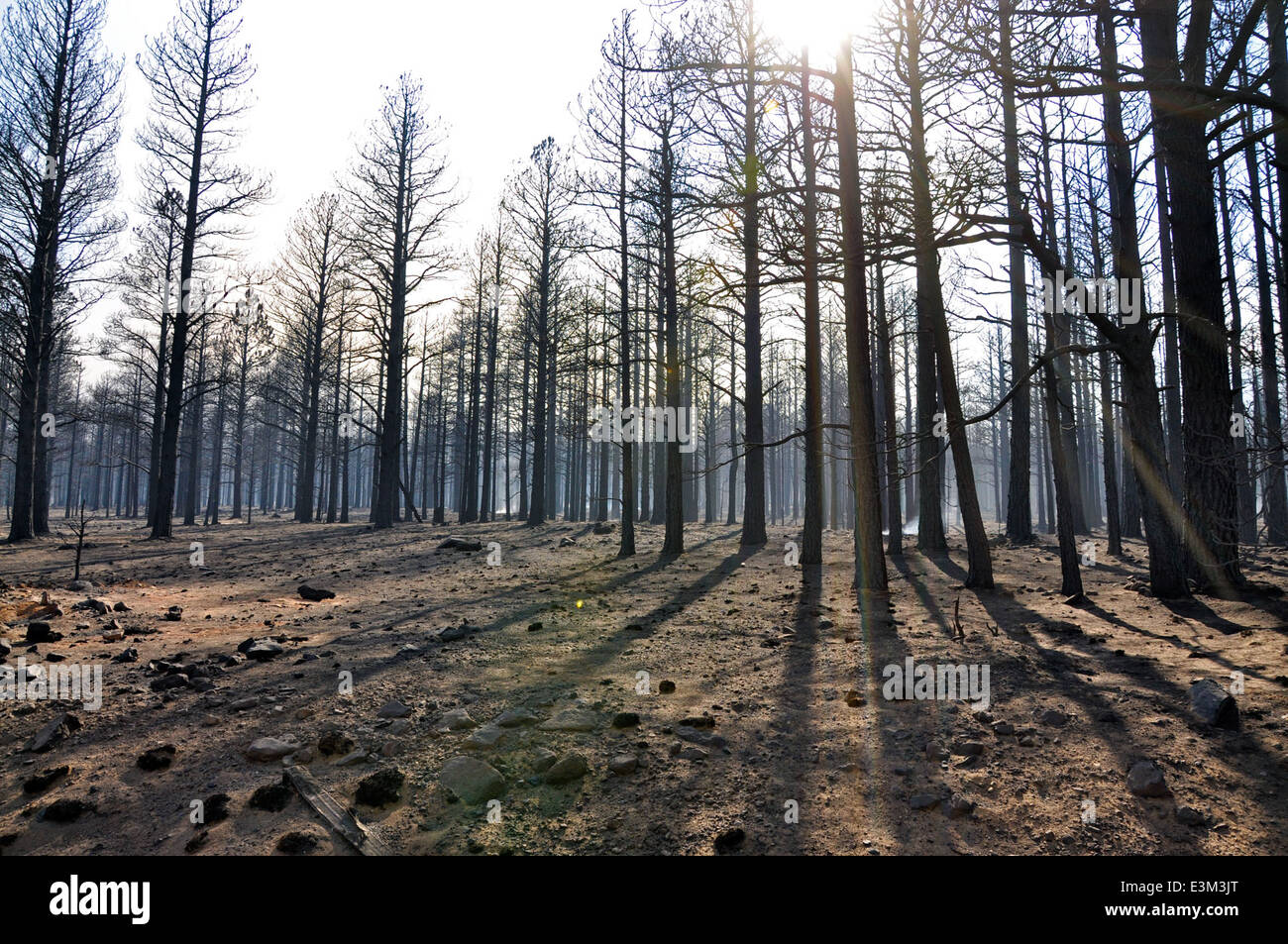Schultz Fire High Resolution Stock Photography and Images - Alamy