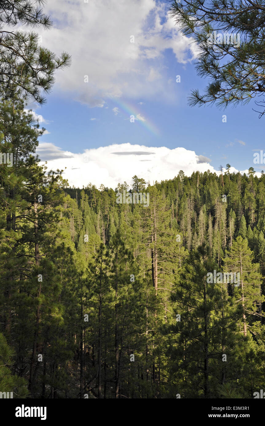 A vibrant rainbow stretches over the Blue Ridge Reservoir in the ...
