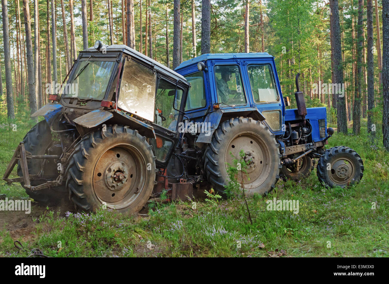 Tractor breakage in the wood. The tractor plowed a furrow dividing ...
