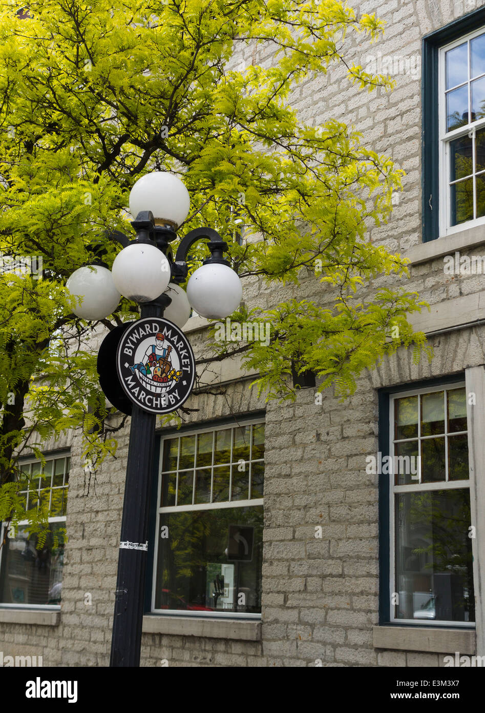 Byward Market Sign on a Street Light with tree. A market sign in the ...