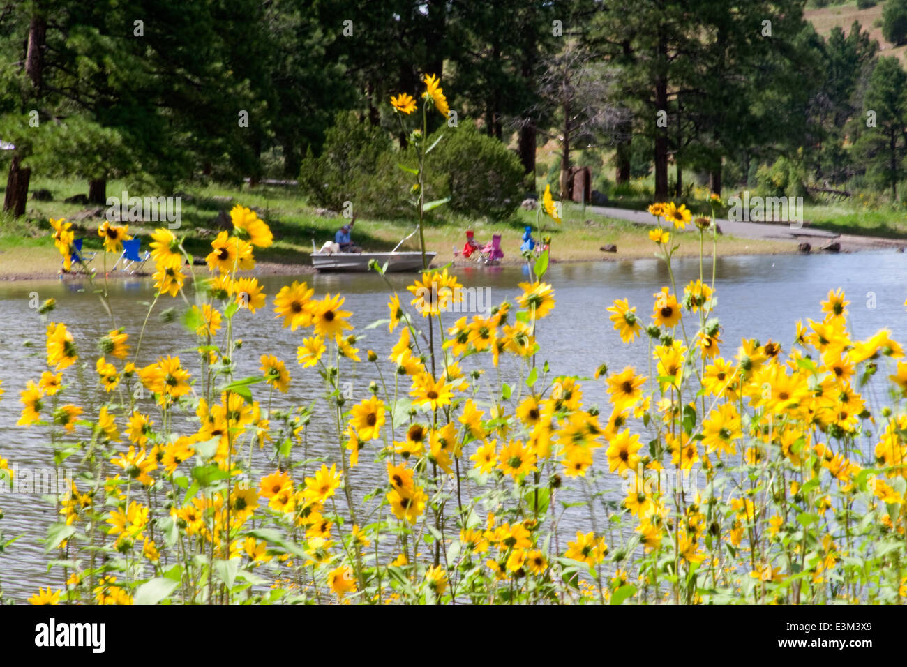 Kaibab Lake Campground, located within the Williams Ranger District of the Kaibab National ...