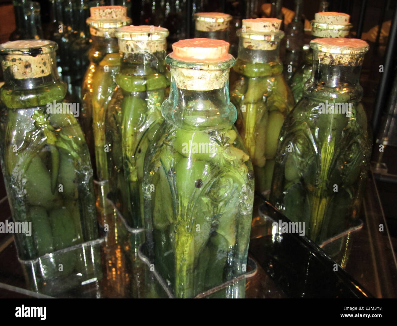 A historical photo of staff and students at the Pickles! program in the ...