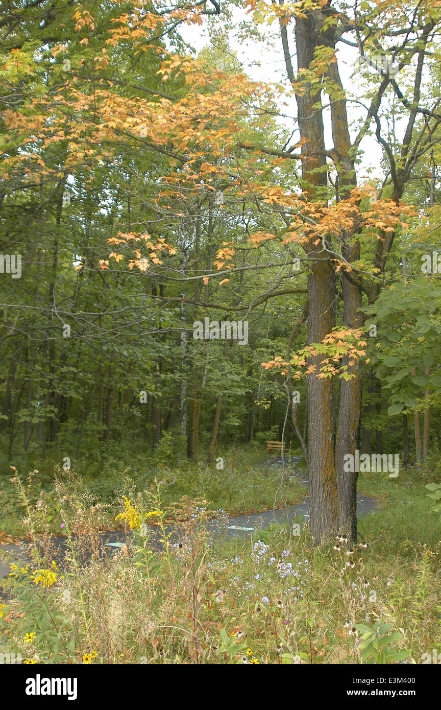 The 75th Anniversary of the U.S. Fish and Wildlife Service celebrates ...