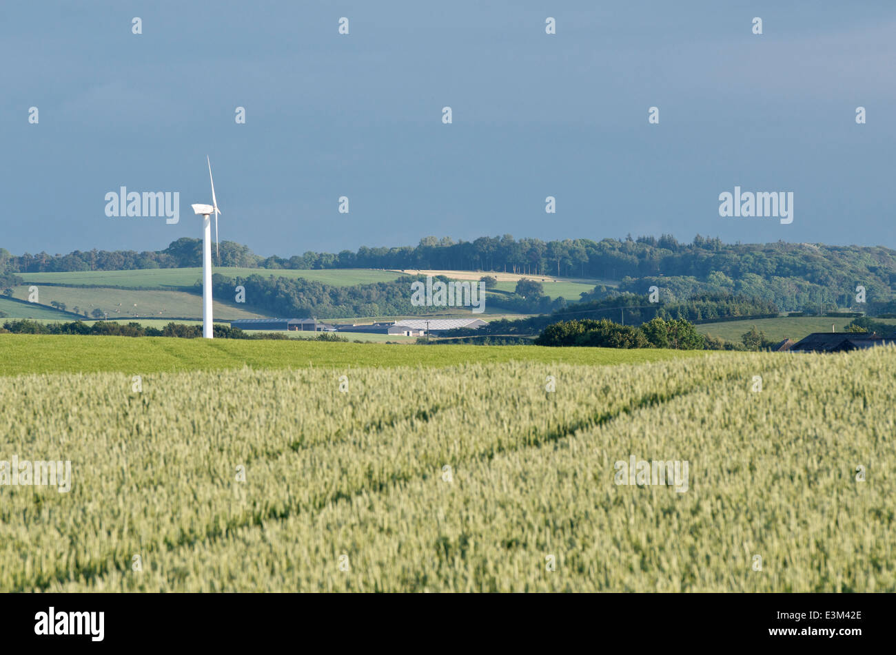 Rural landscape, Ayrshire Scotland Stock Photo - Alamy