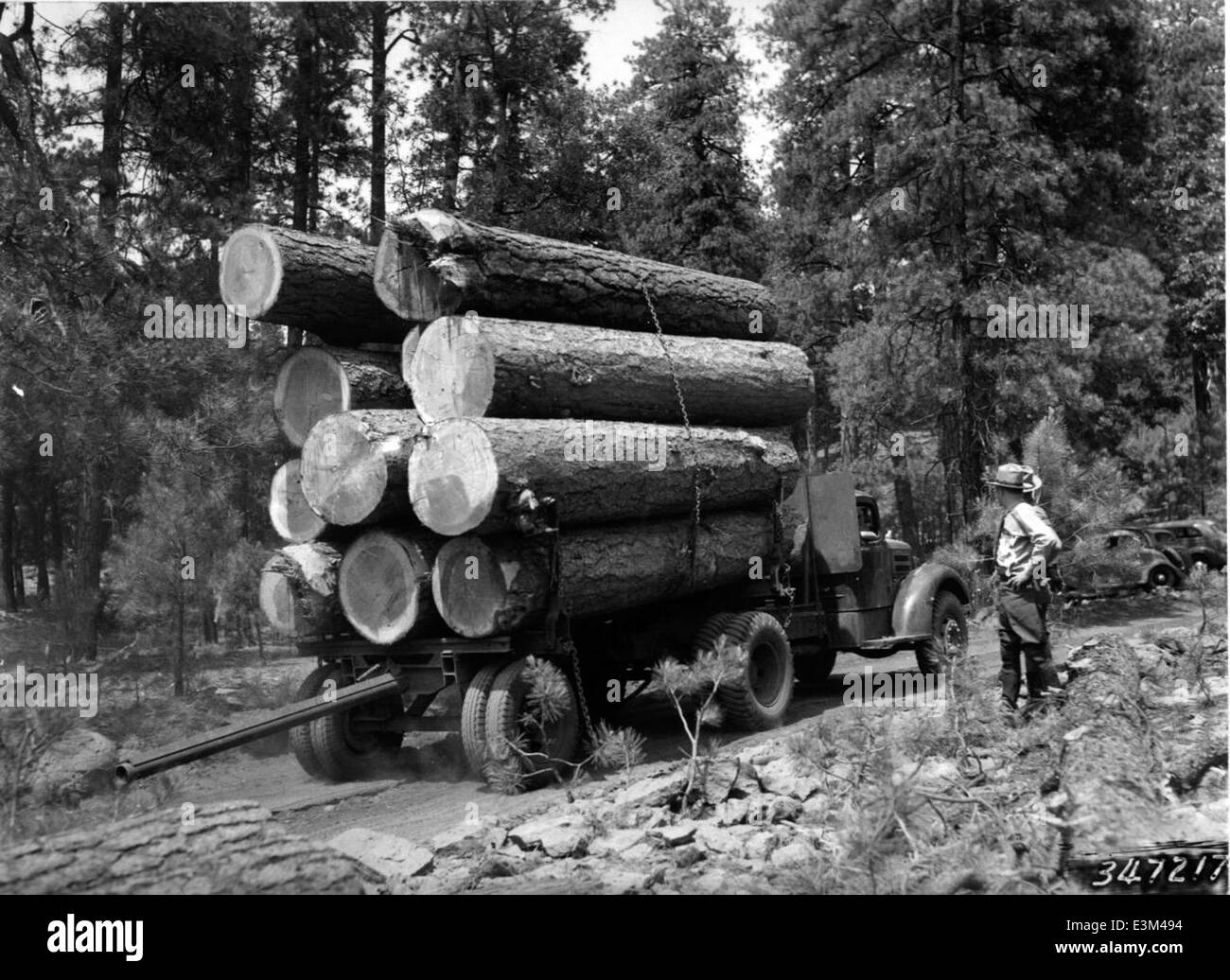 The 1937 photograph of the AZ Lumber & Timber Co. showcases the ...