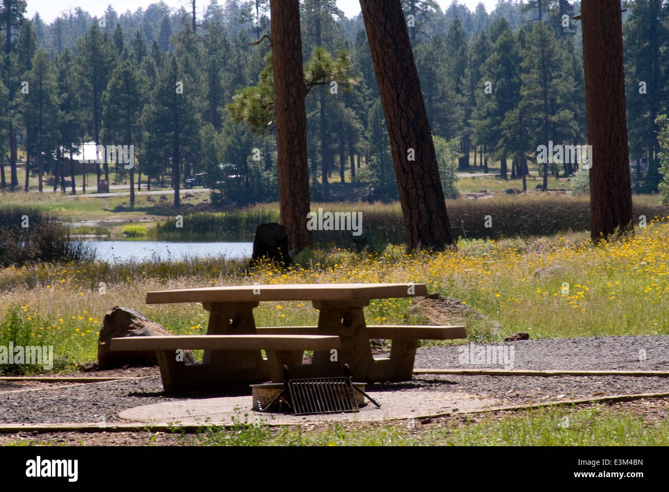 White Horse Lake Campground, located in the Williams Ranger District, offers visitors access to ...