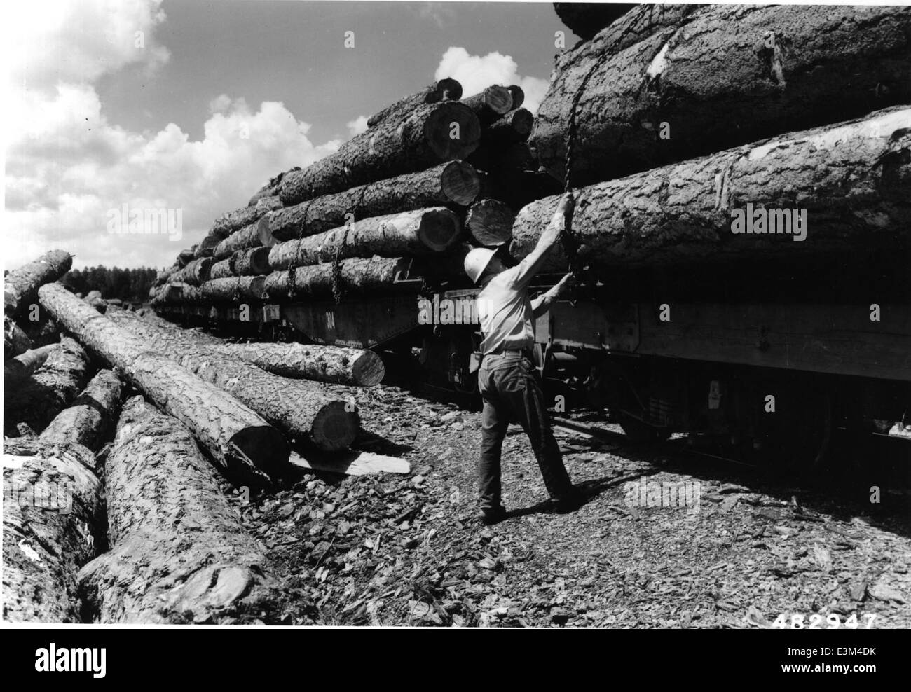 Log Train - 1957 Stock Photo - Alamy