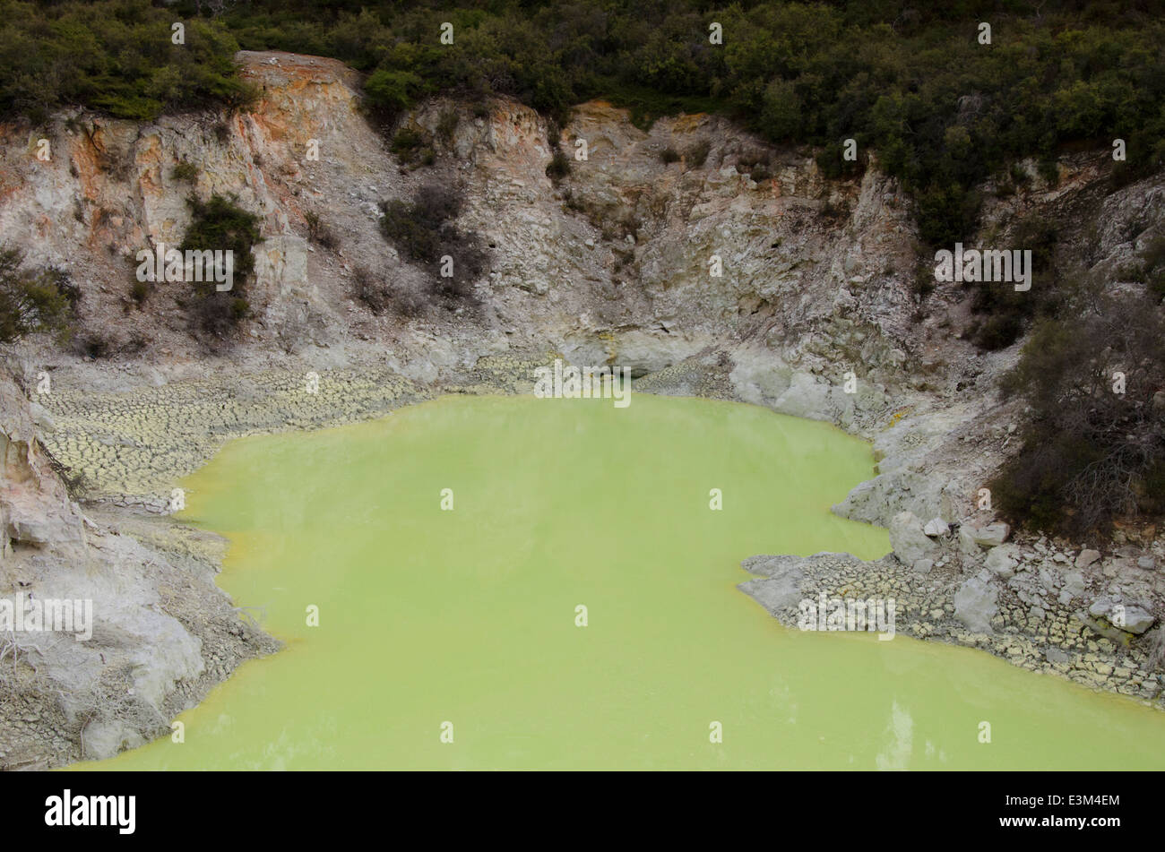 New Zealand, North Island, Rotorua, Taupo Volcanic Zone. Wai-o-tapu ...