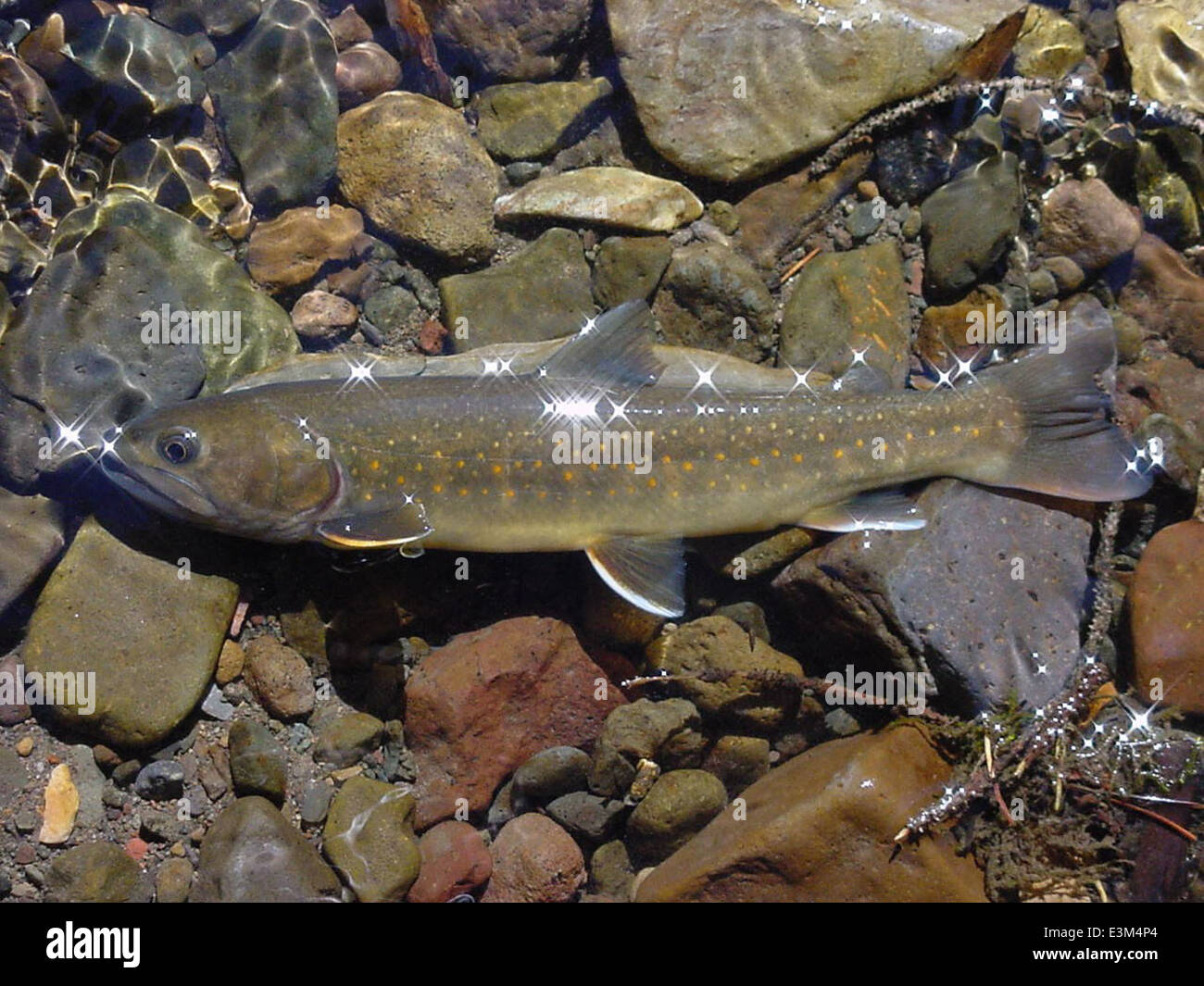 Little lost river hi-res stock photography and images - Alamy