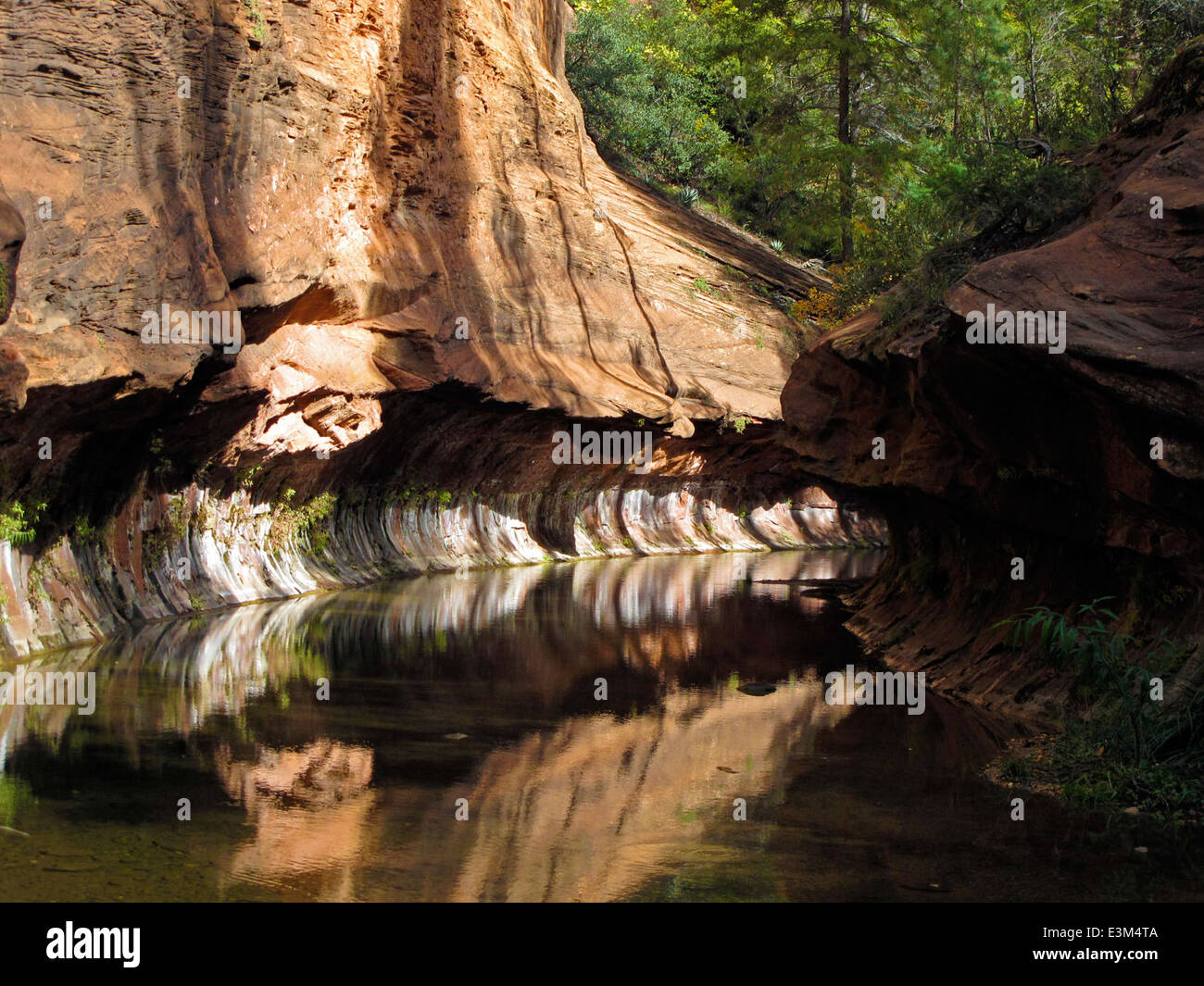 West Fork of Oak Creek Canyon in the Coconino National Forest offers ...