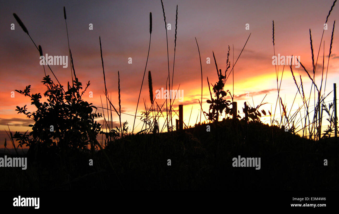 Hart prairie hi-res stock photography and images - Alamy