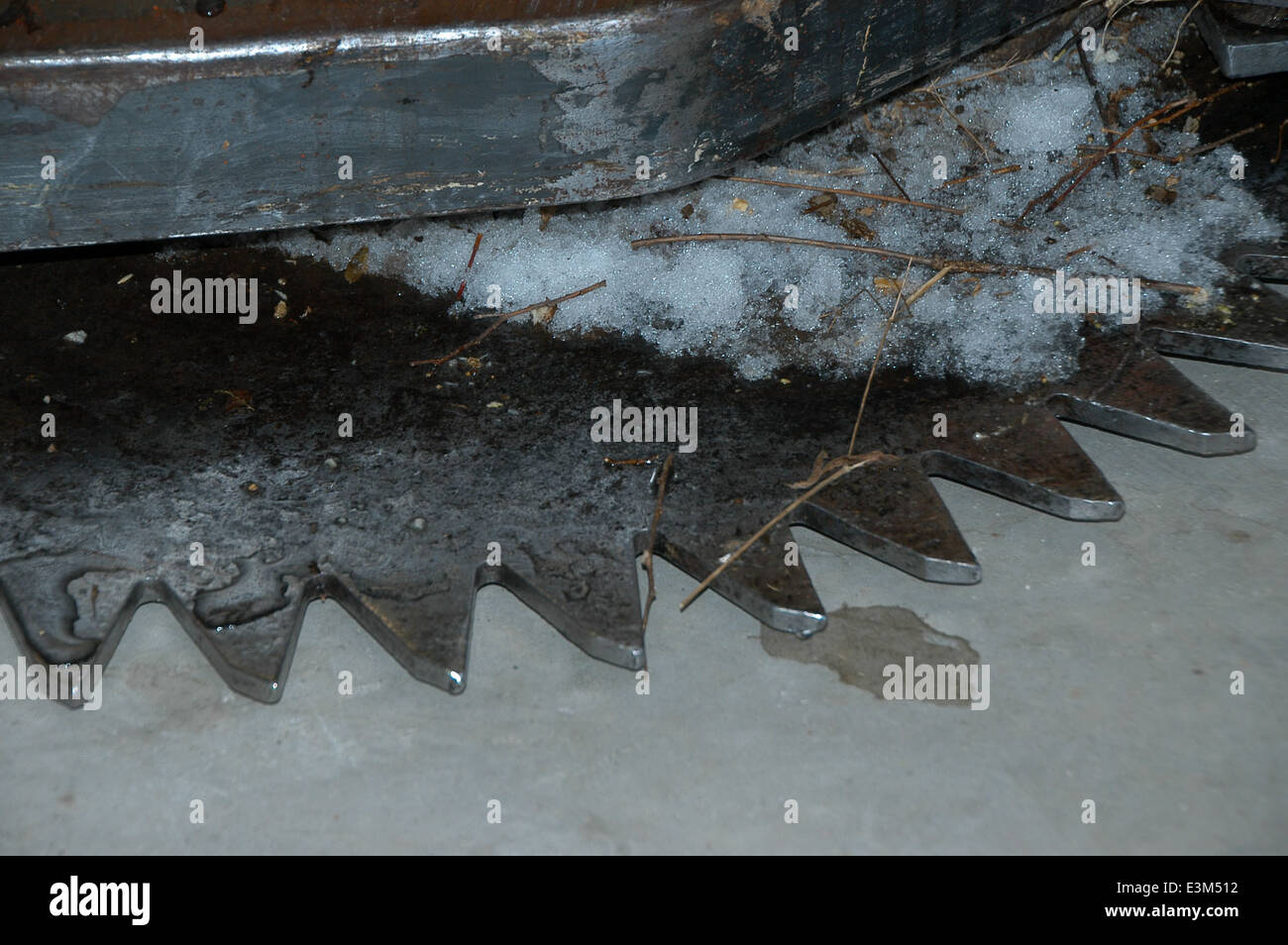 Tree shearer equipment has been a valuable tool for restoration work in ...