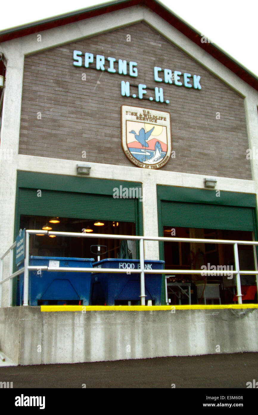 Spring Creek National Fish Hatchery in Washington plays a crucial role ...